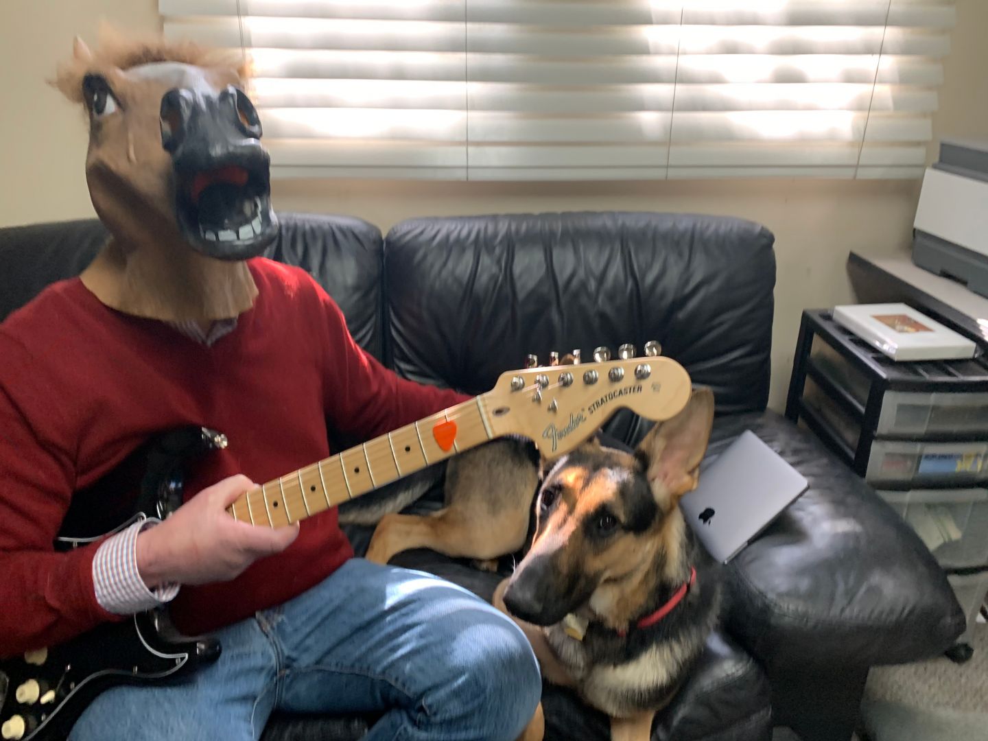 Meet Chip Jacobs: Author, journalist, dog-enthusiast, spiritual ...